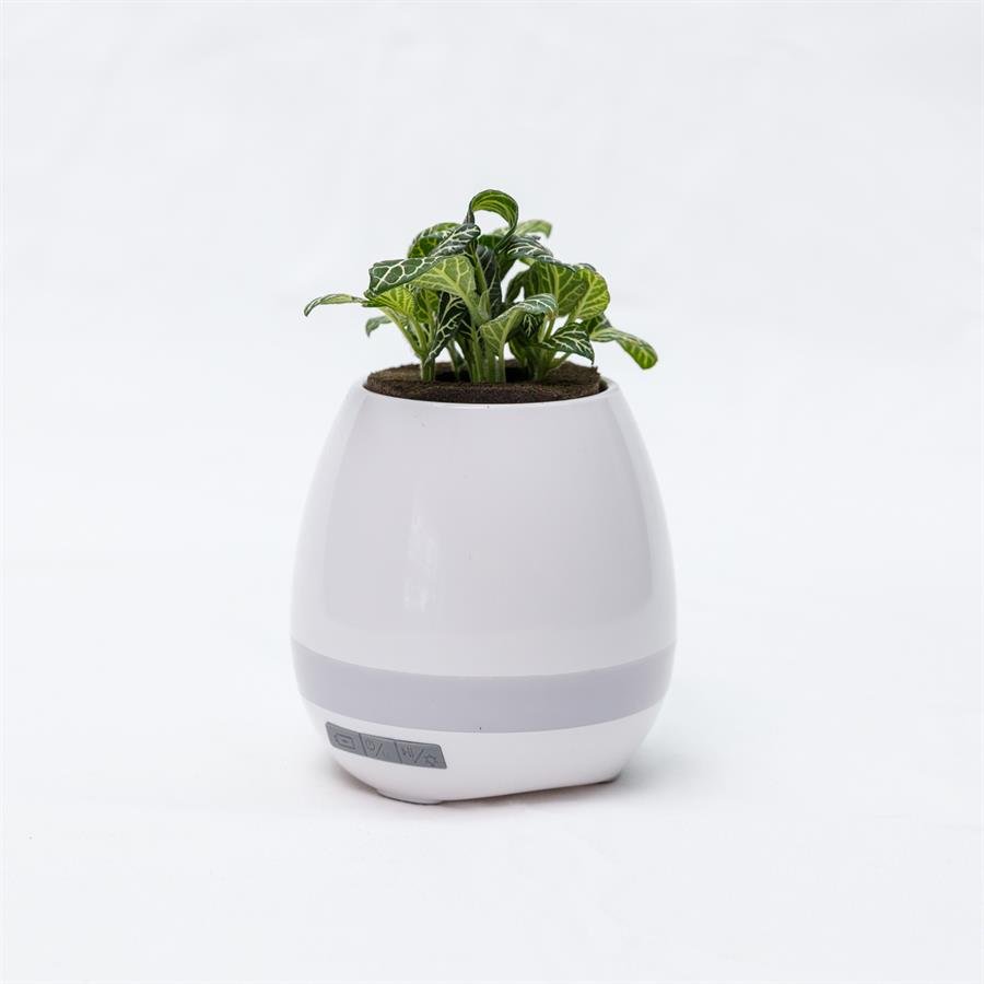 E. Music Pot w Plants - White | Building Materials Online