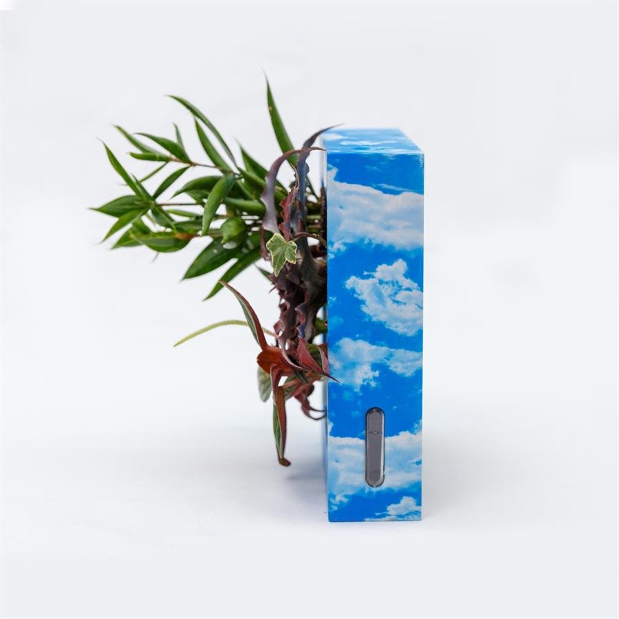 B. Midorie Square Frame w Plants - Sky Blue | Building Materials Online