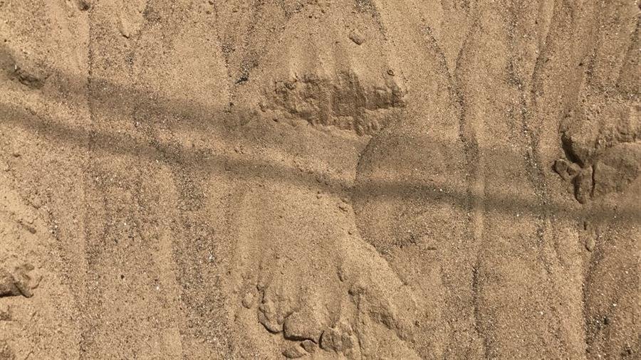 Fine Sand | Building Materials Online