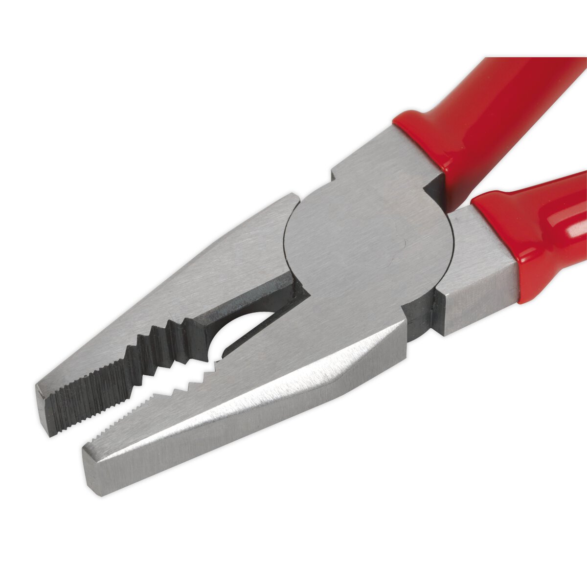 Combination Pliers 200mm | Building Materials Online