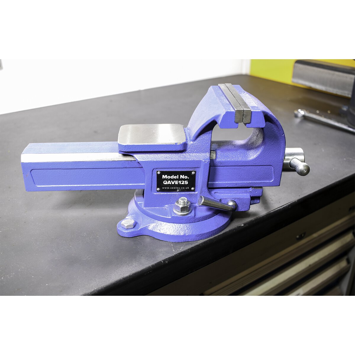 Vice 125mm Quick Action Swivel Base SG Iron | Building Materials Online