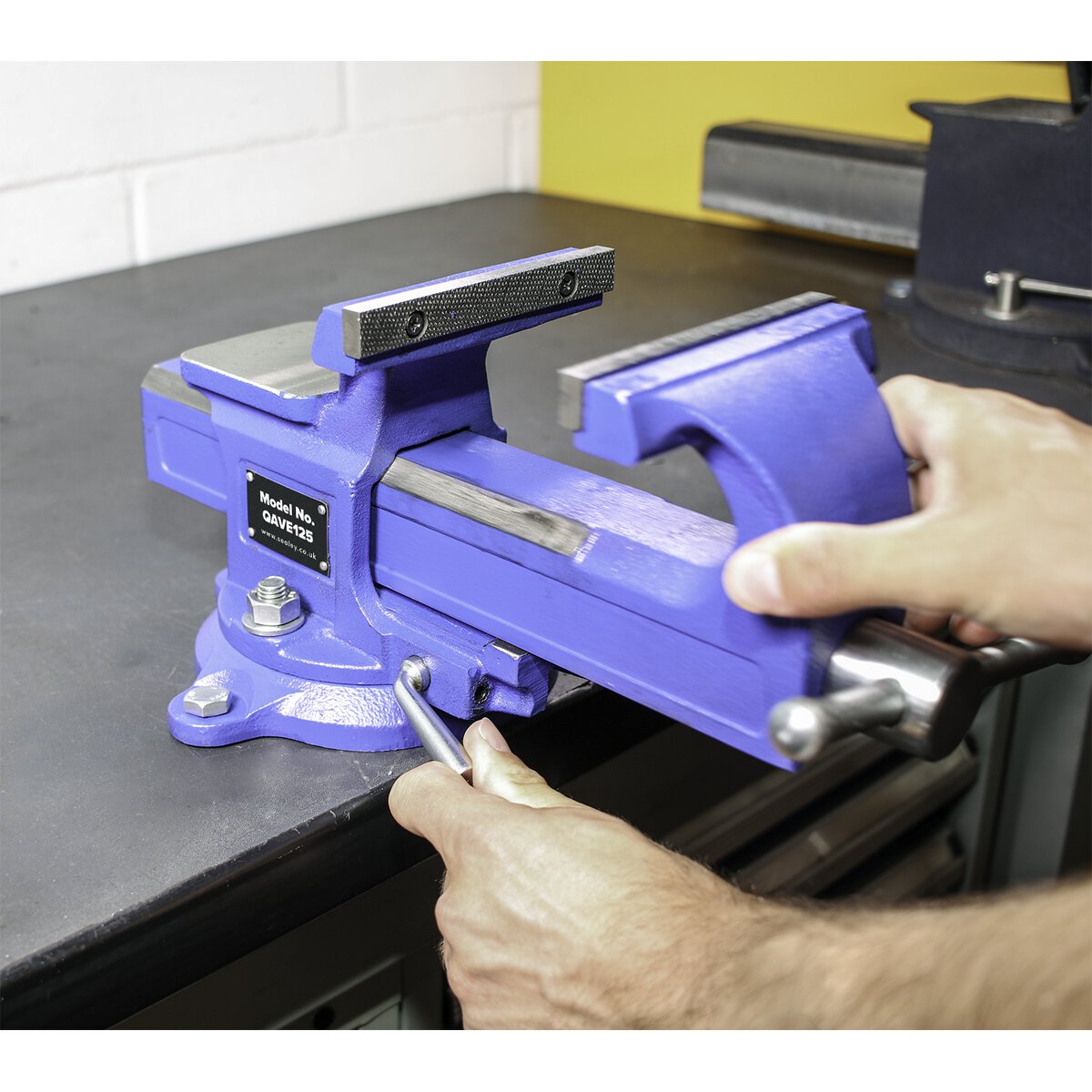 Vice 125mm Quick Action Swivel Base SG Iron | Building Materials Online