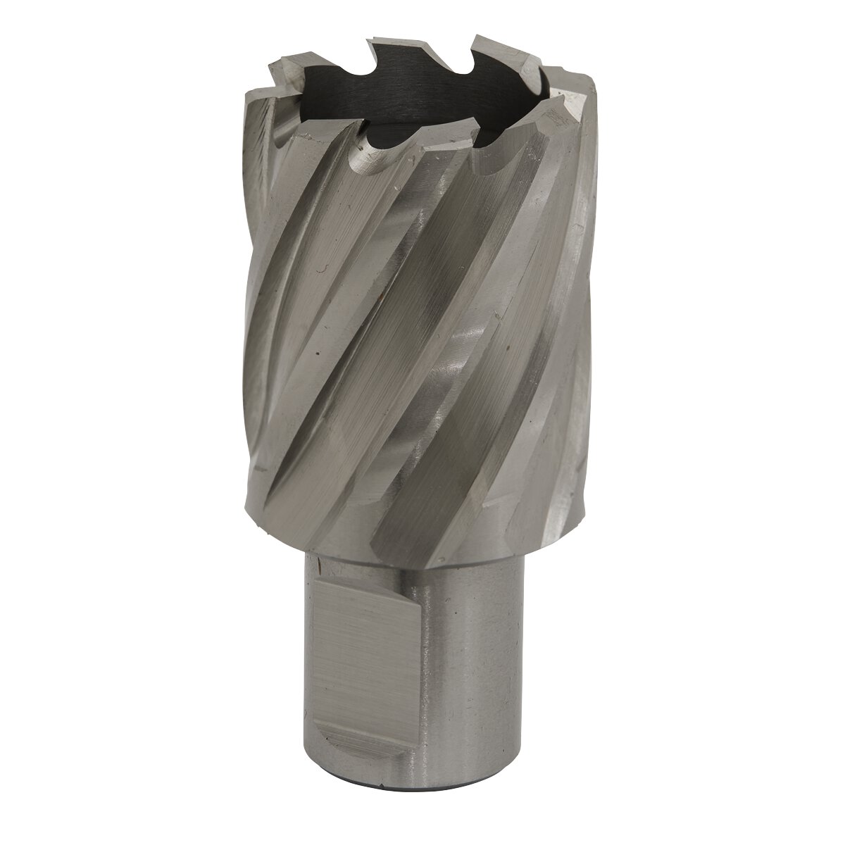 Rotabor Cutter Cobalt M35 - Ø31mm - Cut Depth 25mm | Building Materials ...