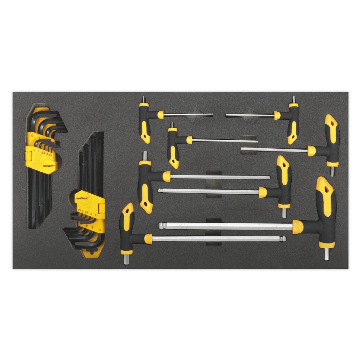 Tool Tray with T-Handle & Standard Hex Key Sets 26pc | Building ...