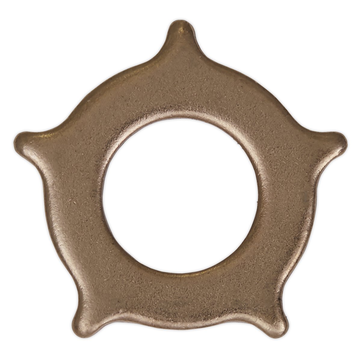 Star Washers for SR2000 Pack of 10 | Building Materials Online