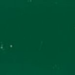 Zinxer paint Robust Vine [AP164-6] | Building Materials Online