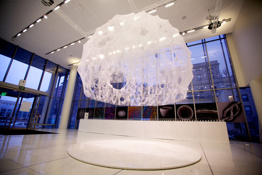 Exploring bio-materials in architecture | Building Materials Online