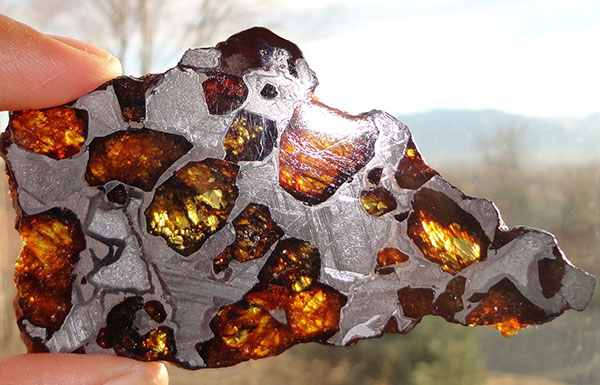 Exotic Material | Building Materials Online